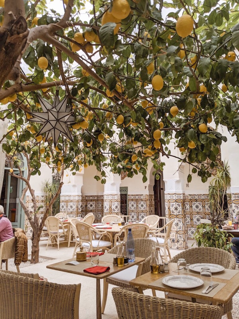 Top things to do in Marrakech