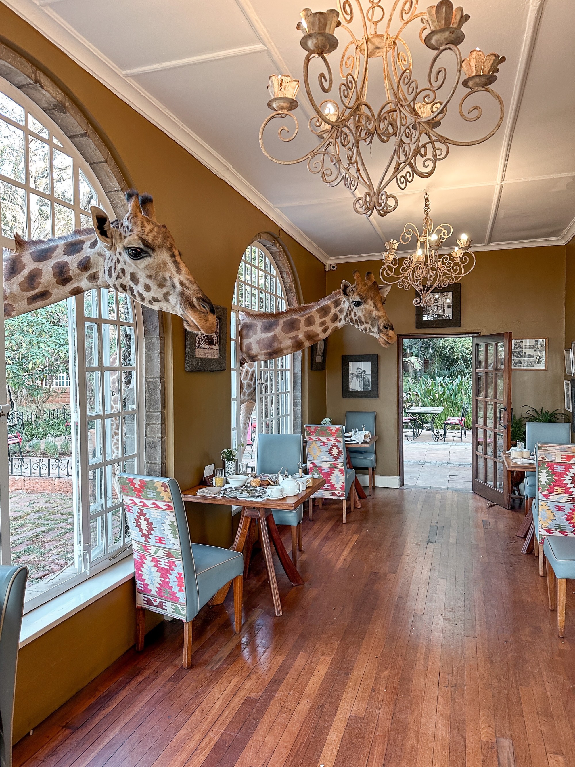 Staying at the Giraffe Manor